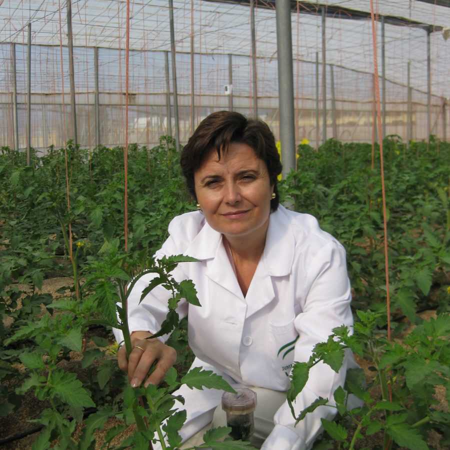 Mª Milagros Fernández Fernández - La Noche Europea de los Investigadores